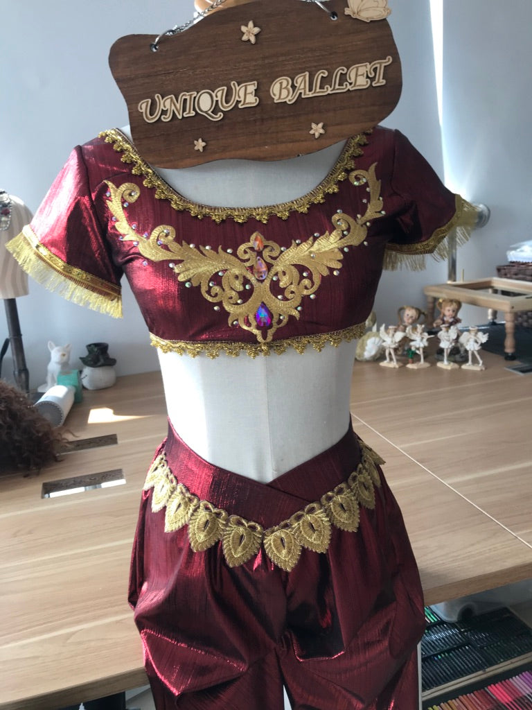Burgundy La Bayadere Nikiya Indian Ballet Costume | Unique Ballet ...