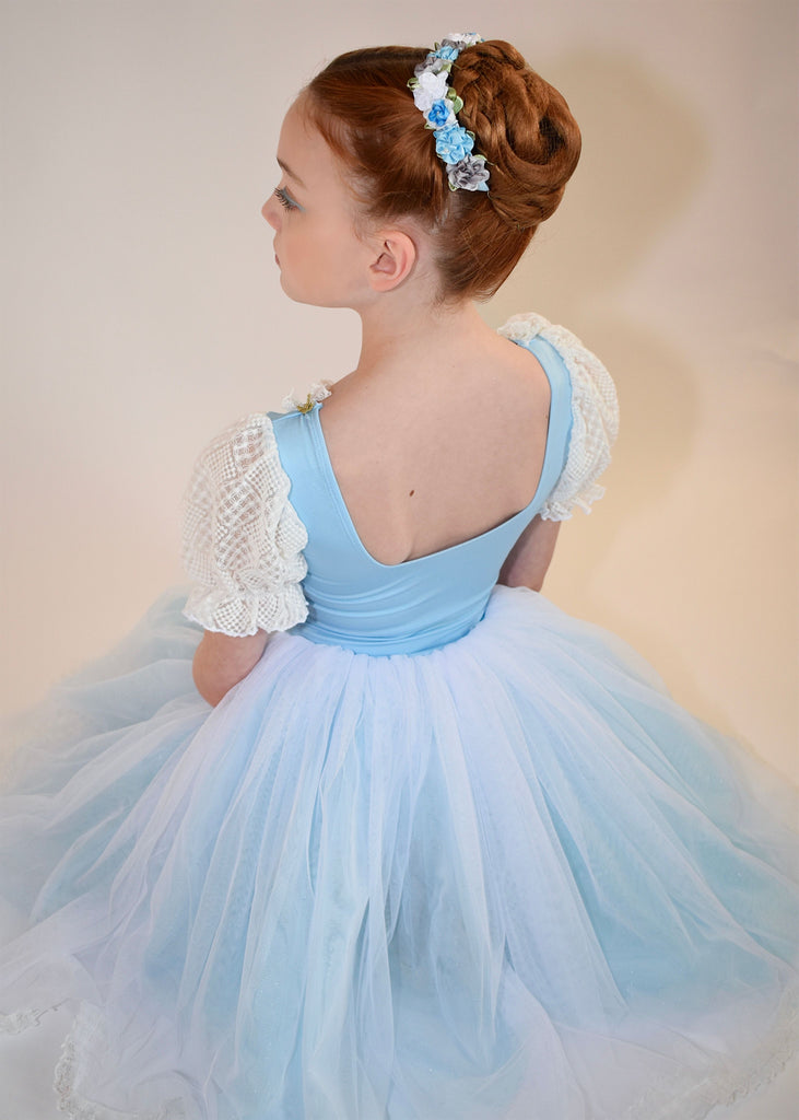 Blue Peasant Romantic Ballet TuTu Costume Cinderella Long Ballet Dress ...