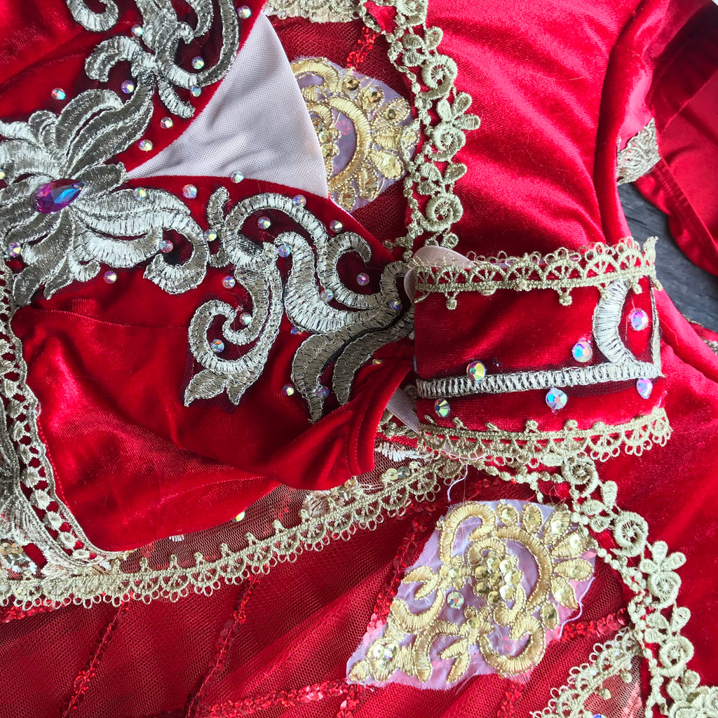 Professional Odalisque Le Corsaire Classic Ballet TuTu Costume Princess ...